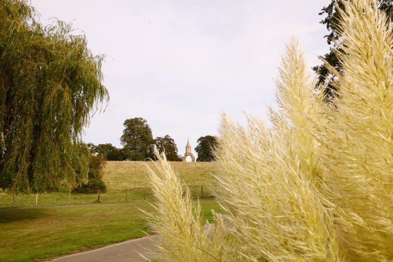 Local History – Barwick and Stoford Parish Council